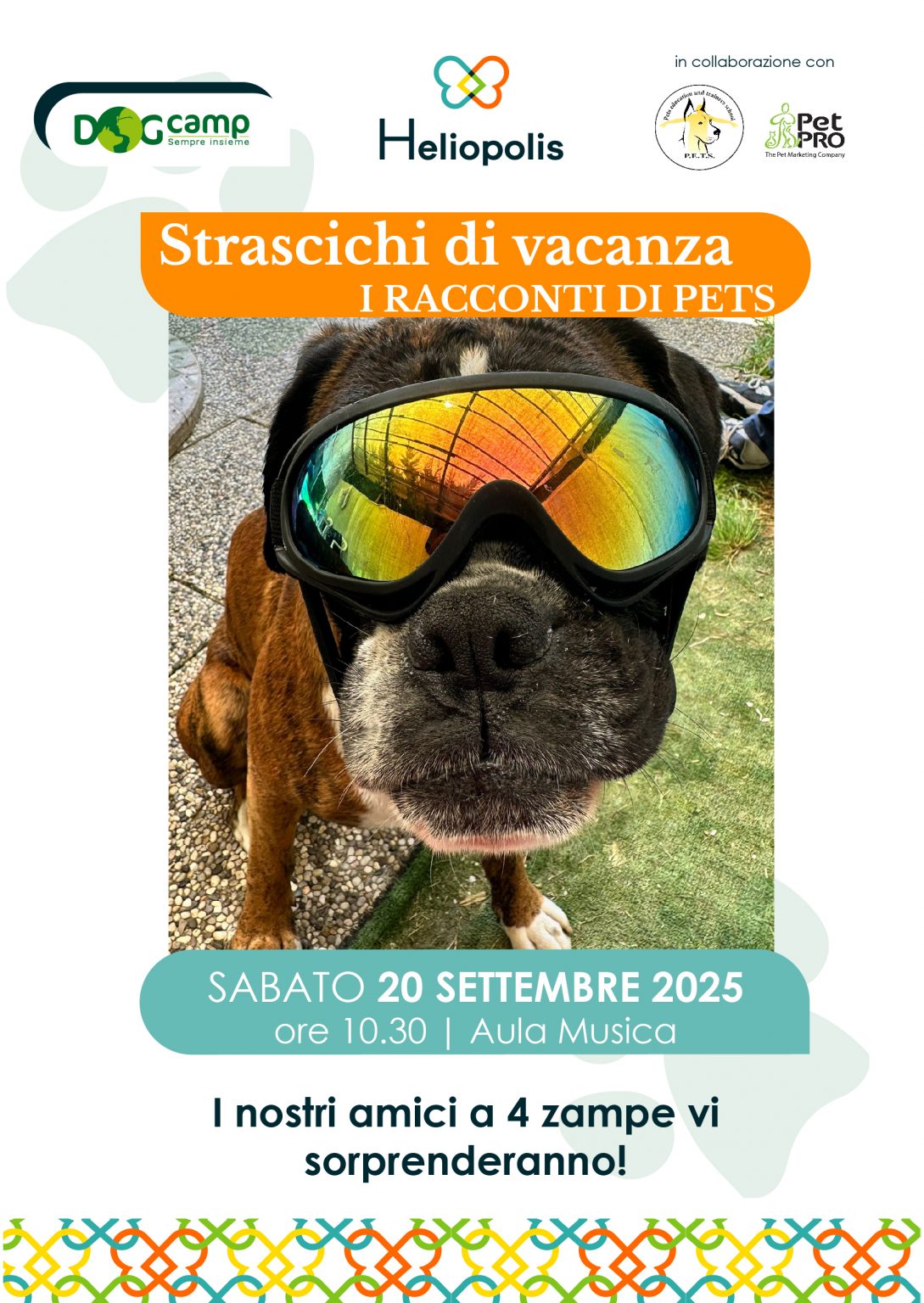 Heliopolis Dog camp di settembre 2025 | Korian residenze per anziani